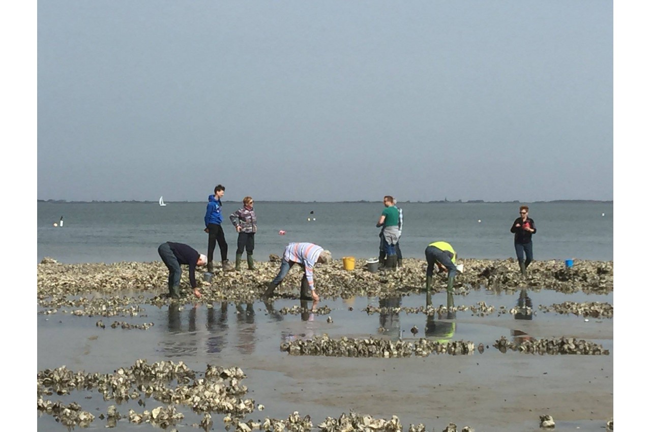 Zeeuwse lifestyle & meer ... - Leuk Zeeuws